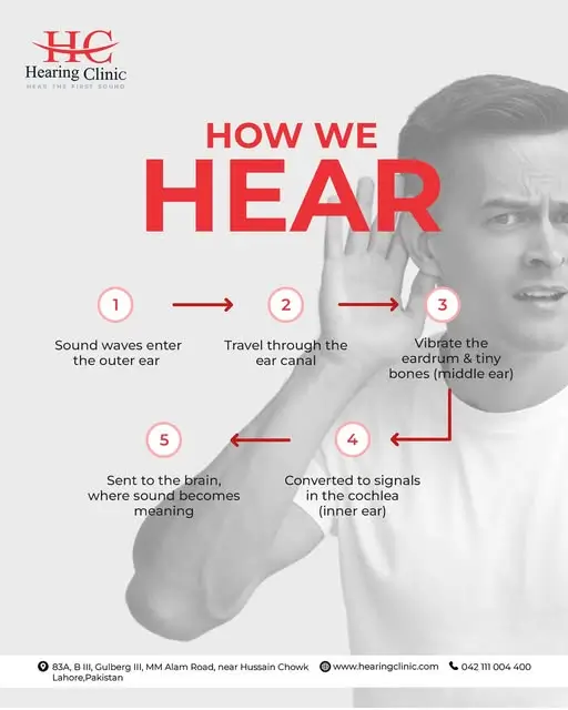 How We Hear (How Auditory Process Works) - Hearing Clinic